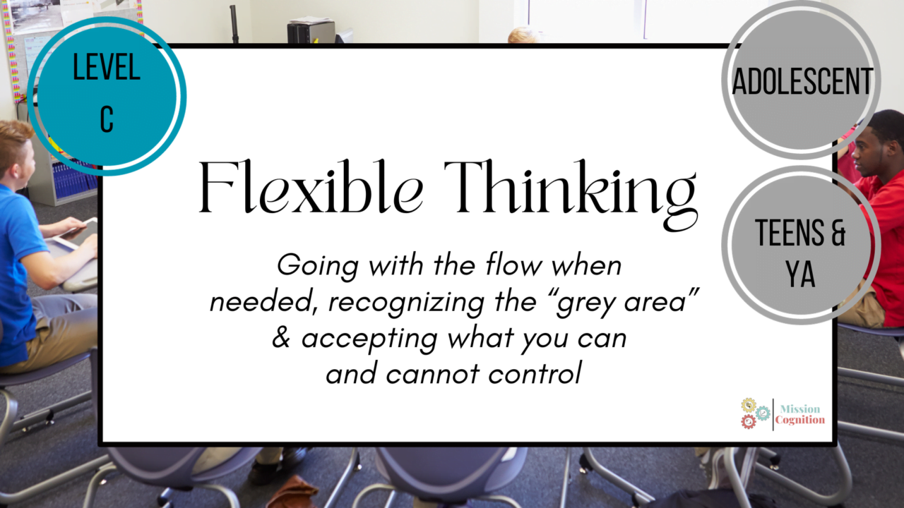 Adaptability & flexibility – Mission Cognition