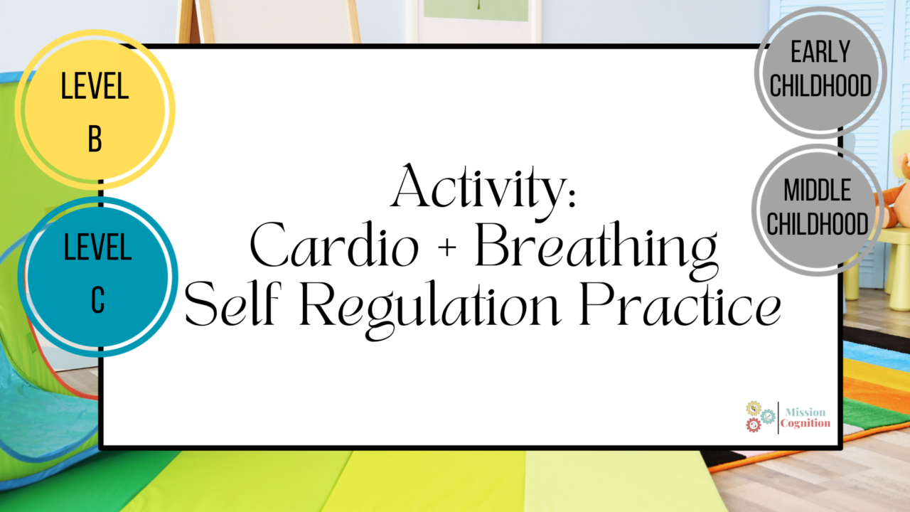 Self Regulation & Managing Emotions - Mission Cognition