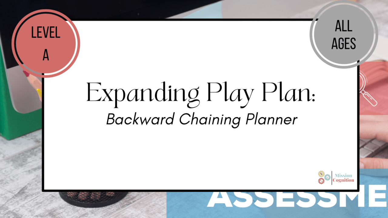 Toy Play & Leisure - Mission Cognition